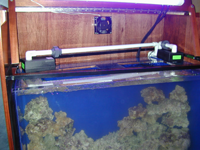 150 Gallon Concave Front Reef Tank, Aquarium Design, Marine Aquariums ...