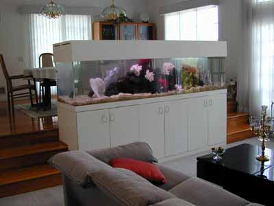 Aquarium Design, Marine Aquariums and Coral Reef Aquarium Tank, Stand ...